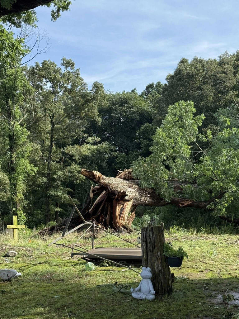 Reports of storm damage from hail and downed trees in parts of the ...