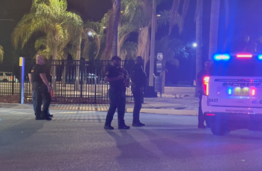 Teen takeover thwarted in Wesley Chapel as teens find large law ...