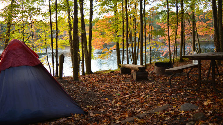 Between Toronto and Ottawa is Canada's gorgeous park with scenic ...