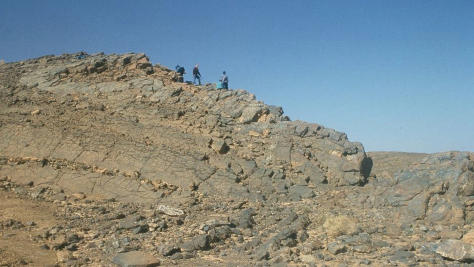 Ancient Moroccan fossils illuminate early human evolution
