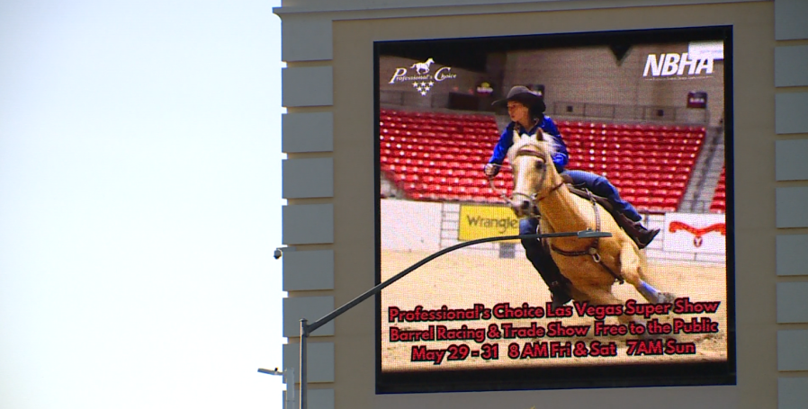Prosecutors may file to move accused horse-stabbing teen into adult ...