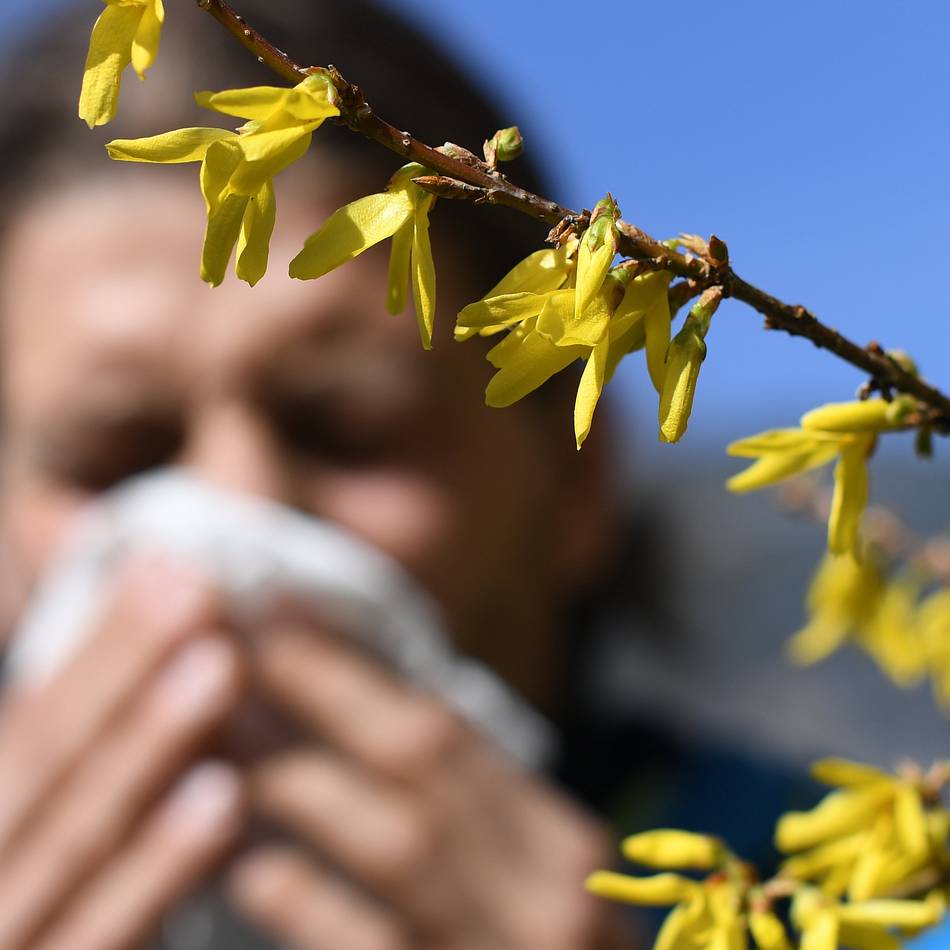 Warum Allergiker im Kreis Heinsberg jetzt besonders leiden