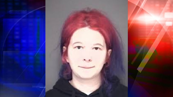 Woman convicted of animal cruelty due back in Vanderburgh County court