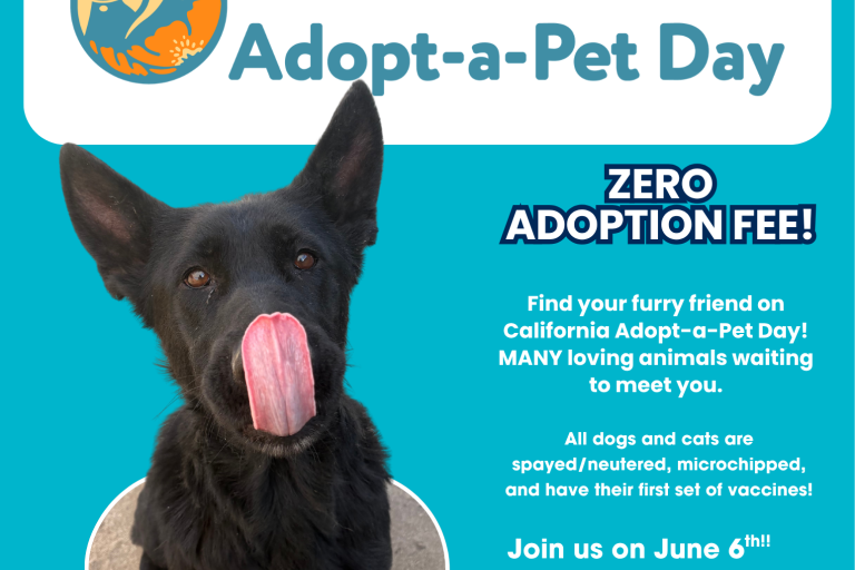 RivCo's animal shelters lead nation in reductions of pet euthanasia