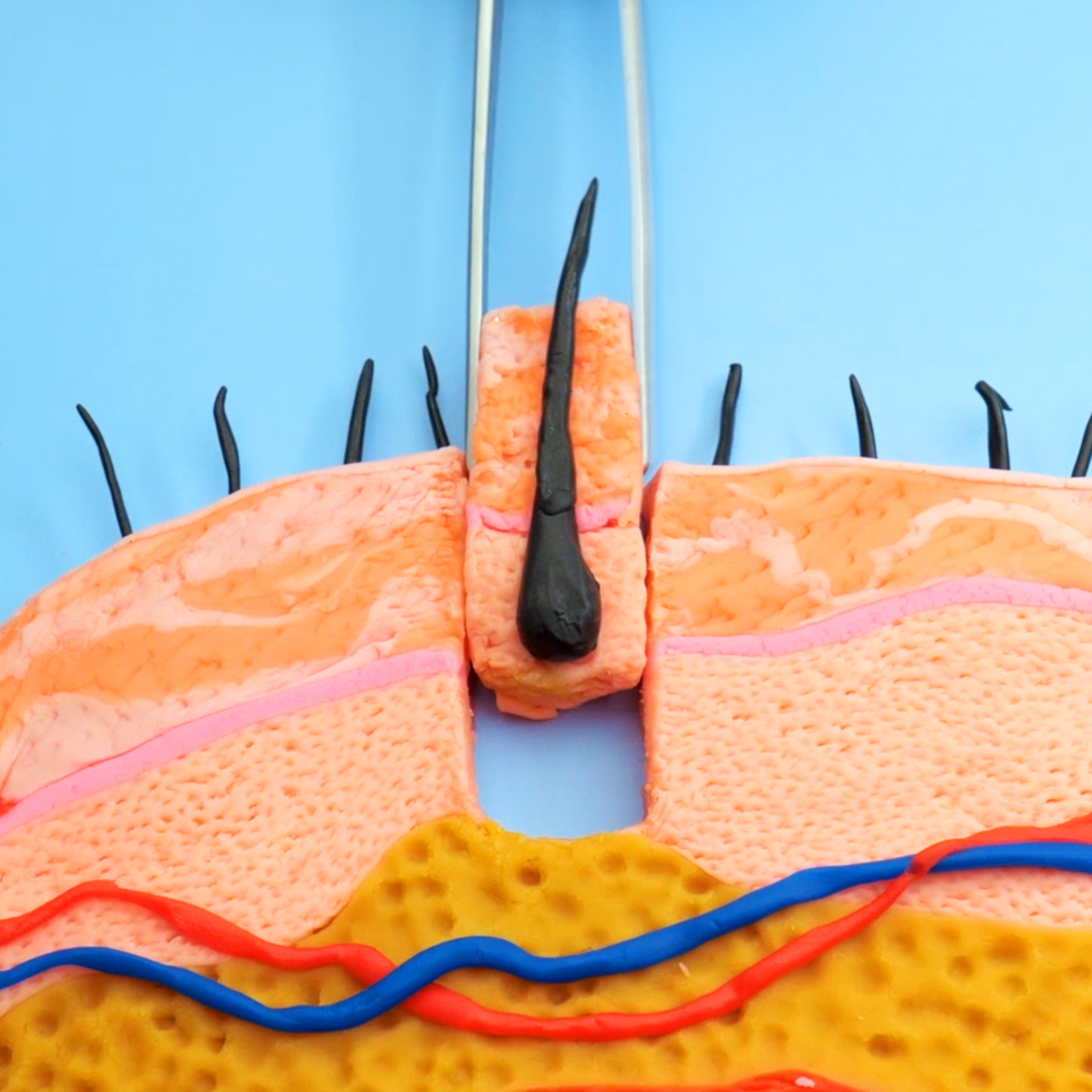 How medical procedures work step-by-step