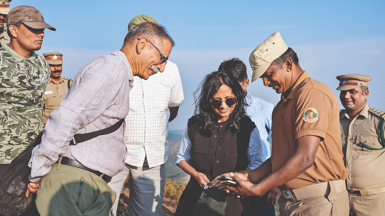 Nilgiri tahr: Are conservation efforts finally turning the tide for ...