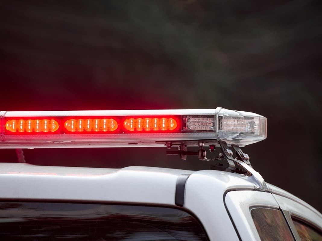 Verbal argument turns violent in Manorhaven, Brooklyn man arrested ...