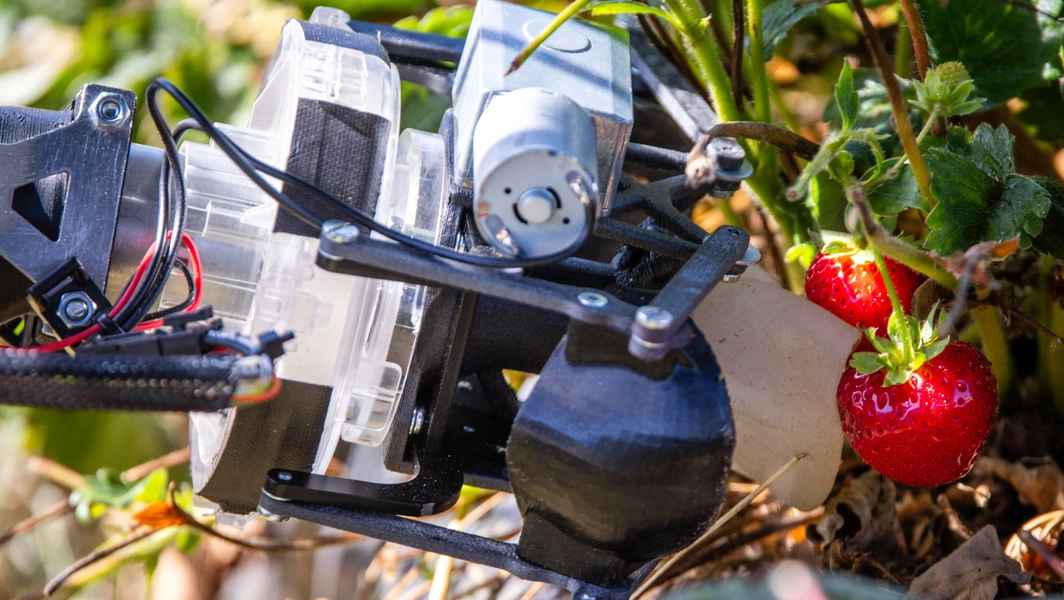Garden experts highlight human touch over AI in plant care