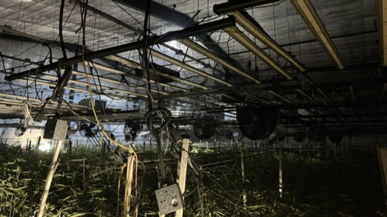 Cannabis grow operation burns in 2 alarm fire in Estacada