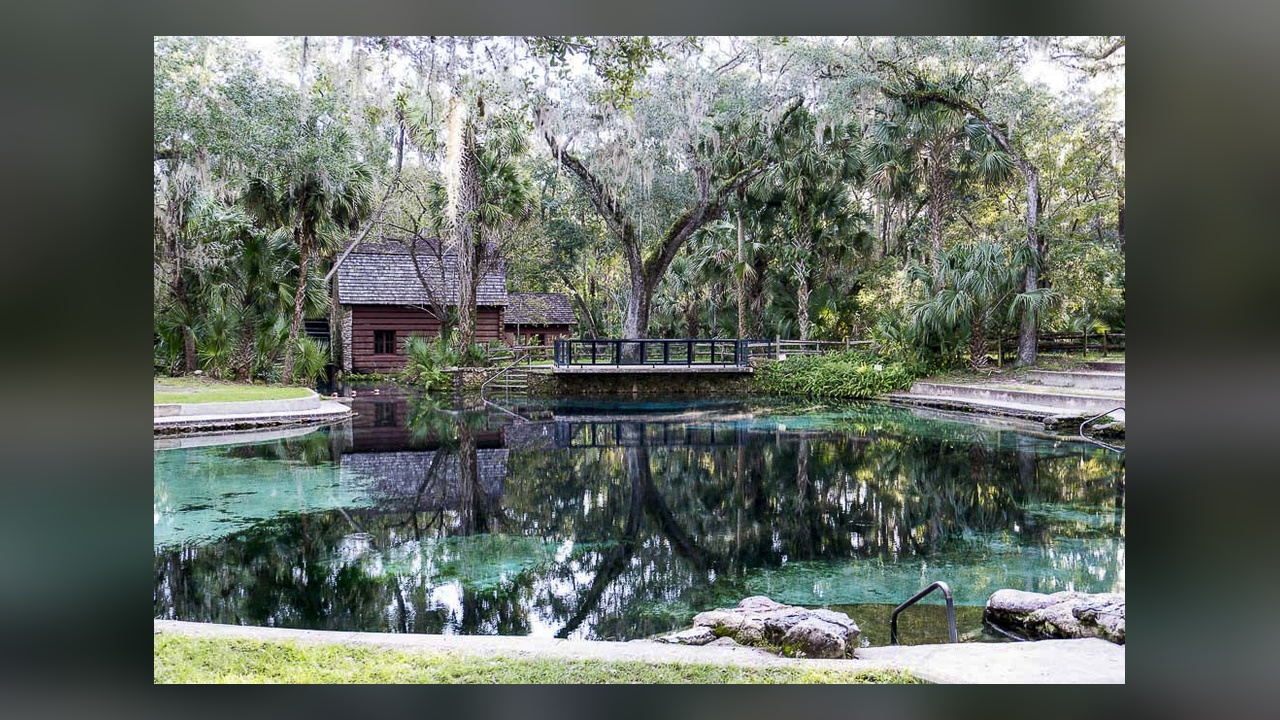 Florida’s oldest national forest has four natural springs and the world ...