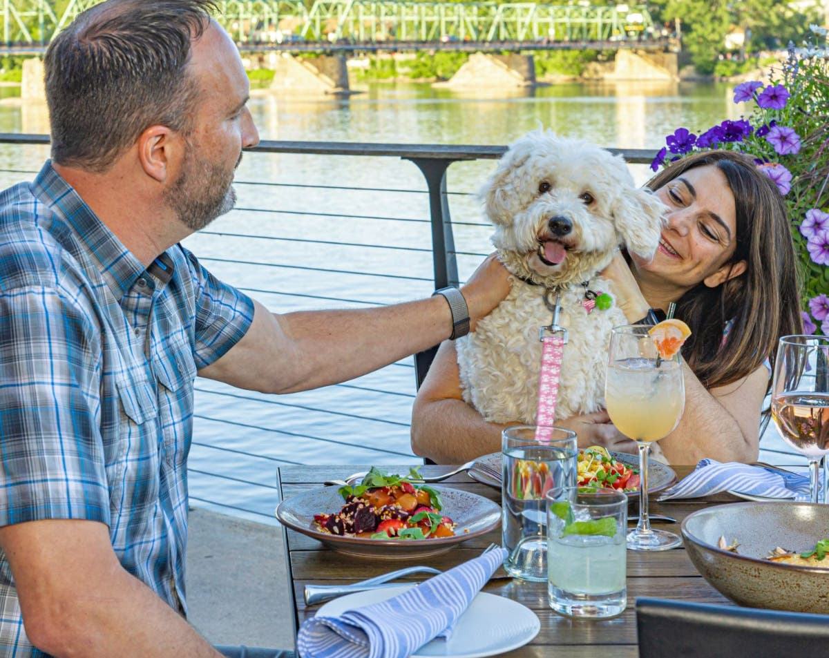 Stella of New Hope hosting weekend dog adoption event