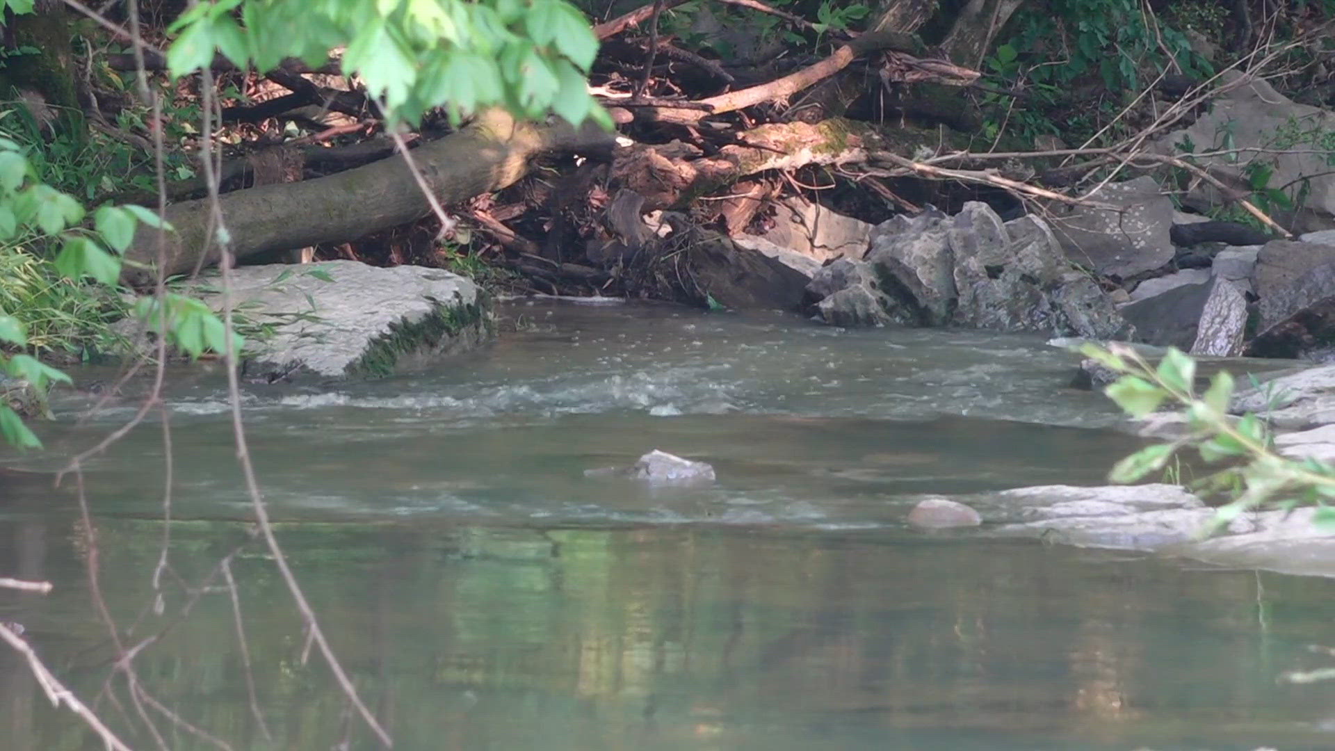 Cocke County is moving into a new phase of its response to deadly flooding