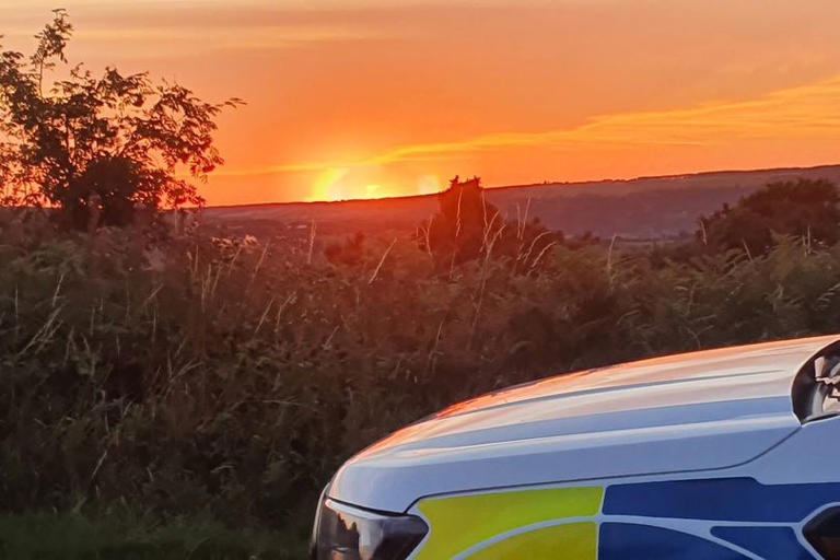 Man dies after car crashes into tree in North Yorkshire