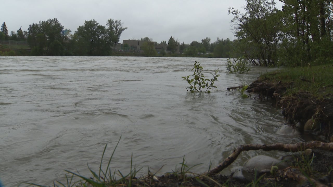 Heavy rainfall pummels Calgary as river levels rise in Alberta