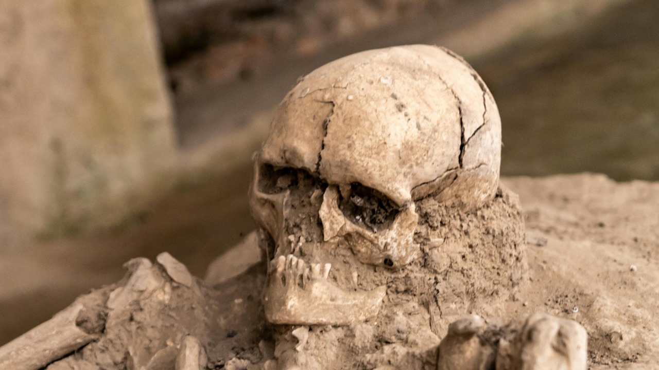 New DNA from ancient European graves shows hunter-gatherers and the ...