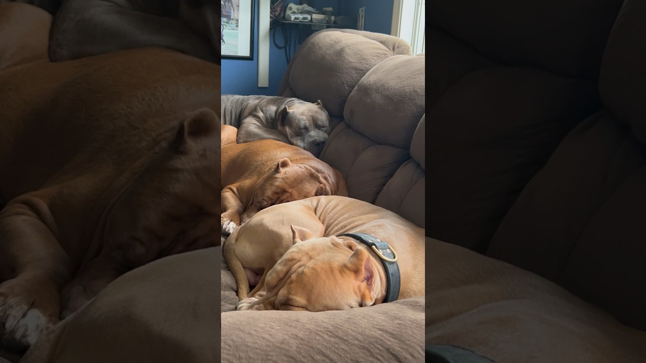 This family rotates sleeping beside their father