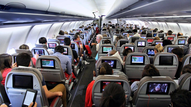 Unruly passengers could be banned for life from multiple airlines under ...