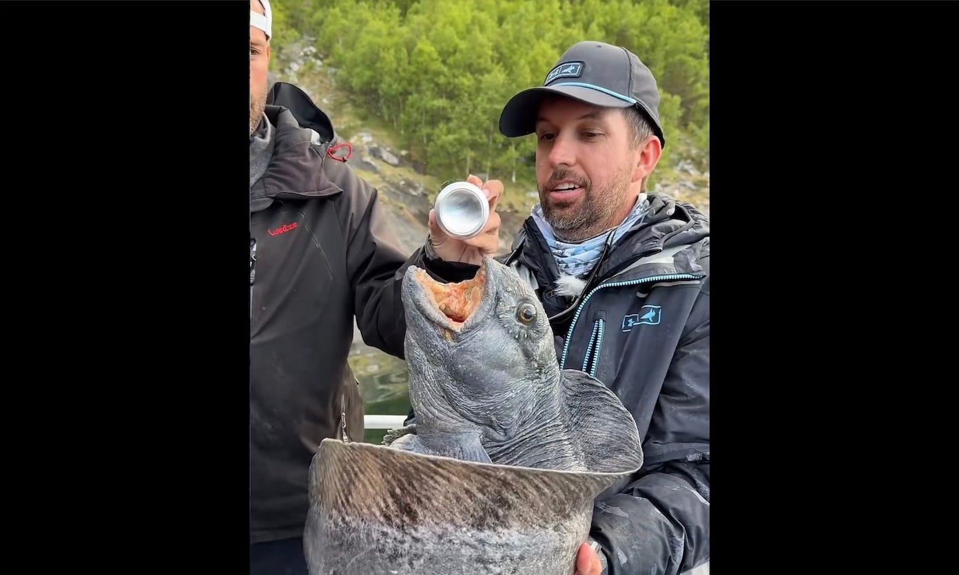 'Meanest fish' bites into soda can during questionable demonstration