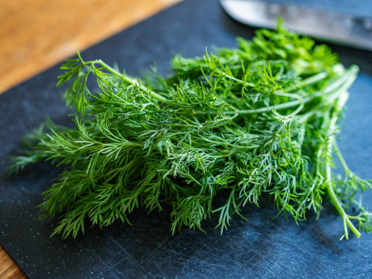 7 herbs highest in magnesium
