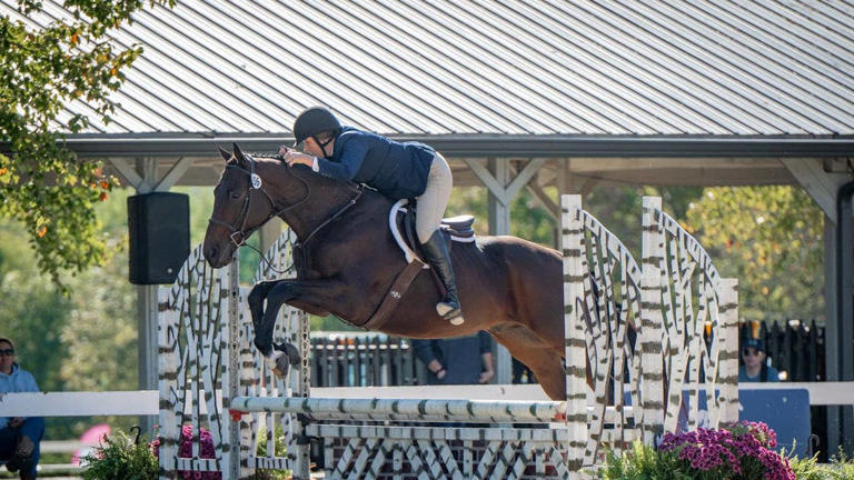 Retired Racehorse Project adds graduate classes to 2026 Thoroughbred ...