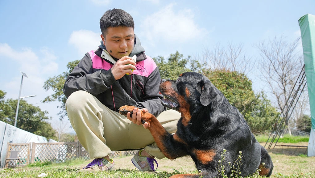 16 behaviors and situations dogs dislike