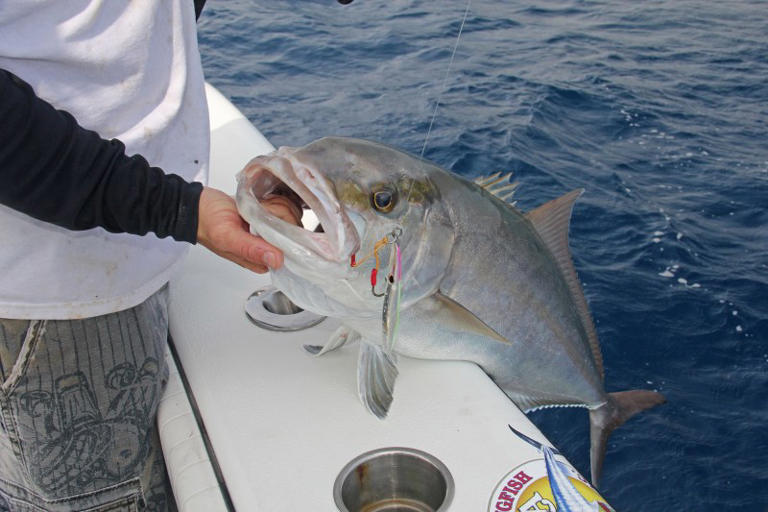 Seven dos and don'ts for Northern Gulf rig fishing