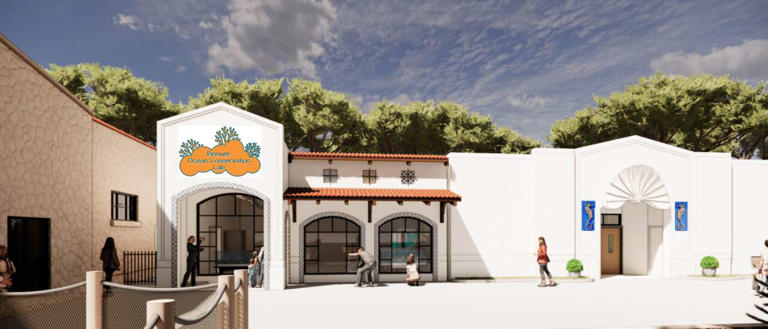 San Antonio Zoo unveils Brewer Ocean Conservation Lab to boost ...