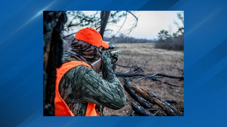 AGFC opens application window for this year's deer hunting permit
