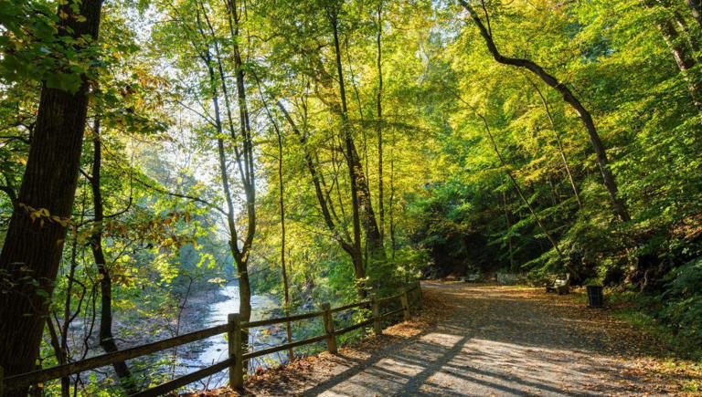 Inside Wissahickon Valley Park: Philadelphia’s 2,000-acre hidden gem