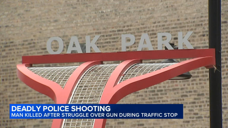 Oak Park officer shoots, kills suspect after struggle over gun during ...
