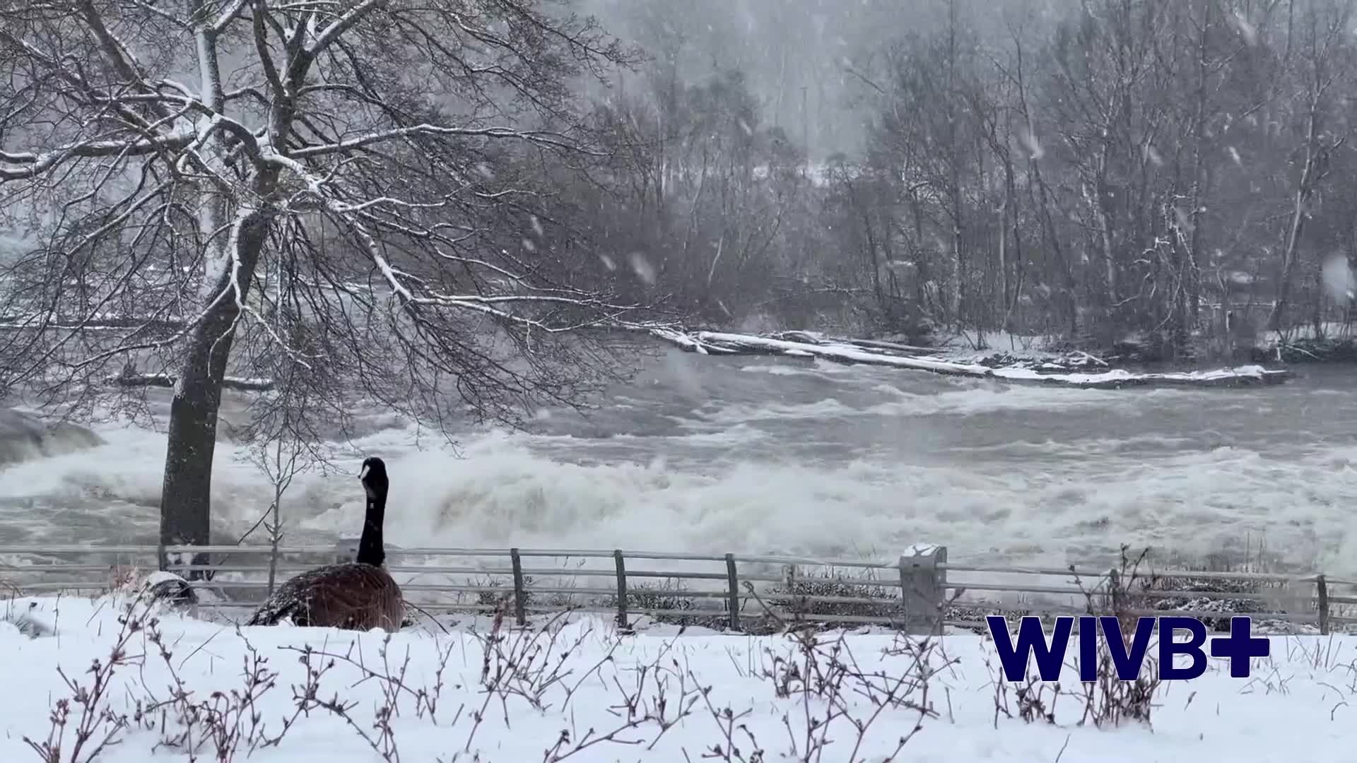 Buffalo Brief Small Town Controversy