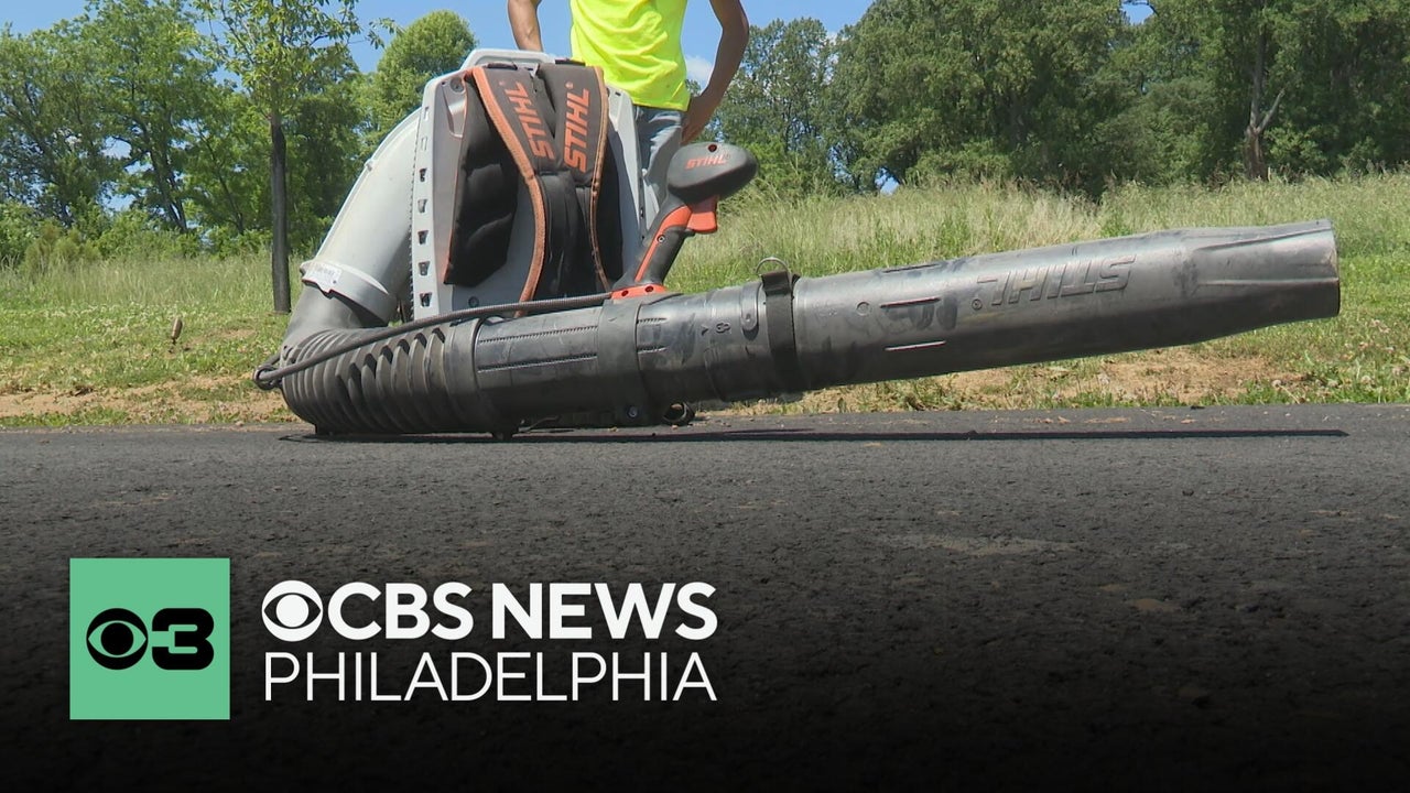 Lower Merion Township gas-powered leaf blower ban begins
