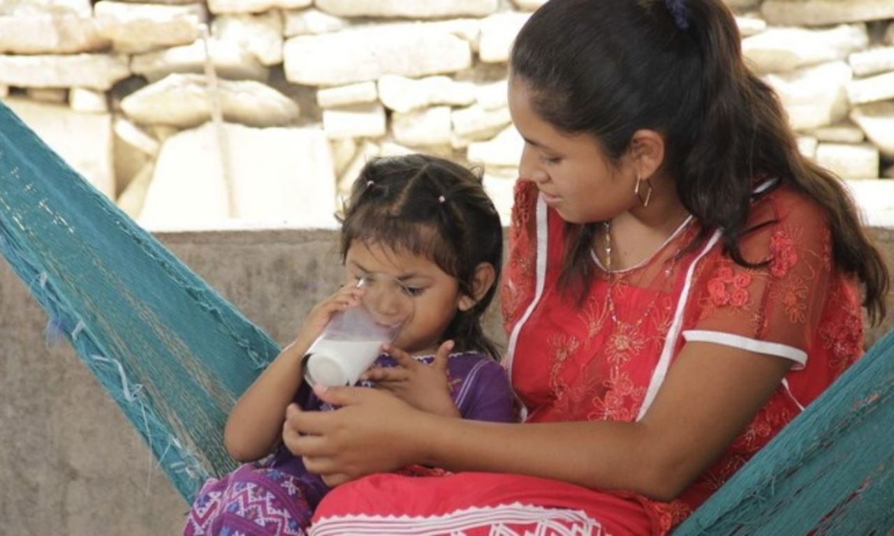 Día Mundial de la Leche: nutrición y bienestar en México