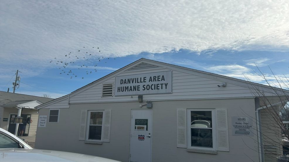 Danville Area Humane Society pays $500 fine amid record-keeping ...