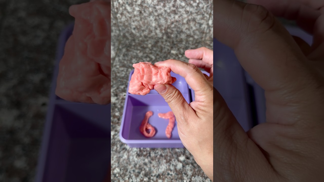 Packing my kid's creative 67-lunchbox surprise goes overboard