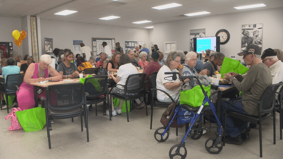 Danville nonprofit hosts wellness fair for Vermilion CO. seniors