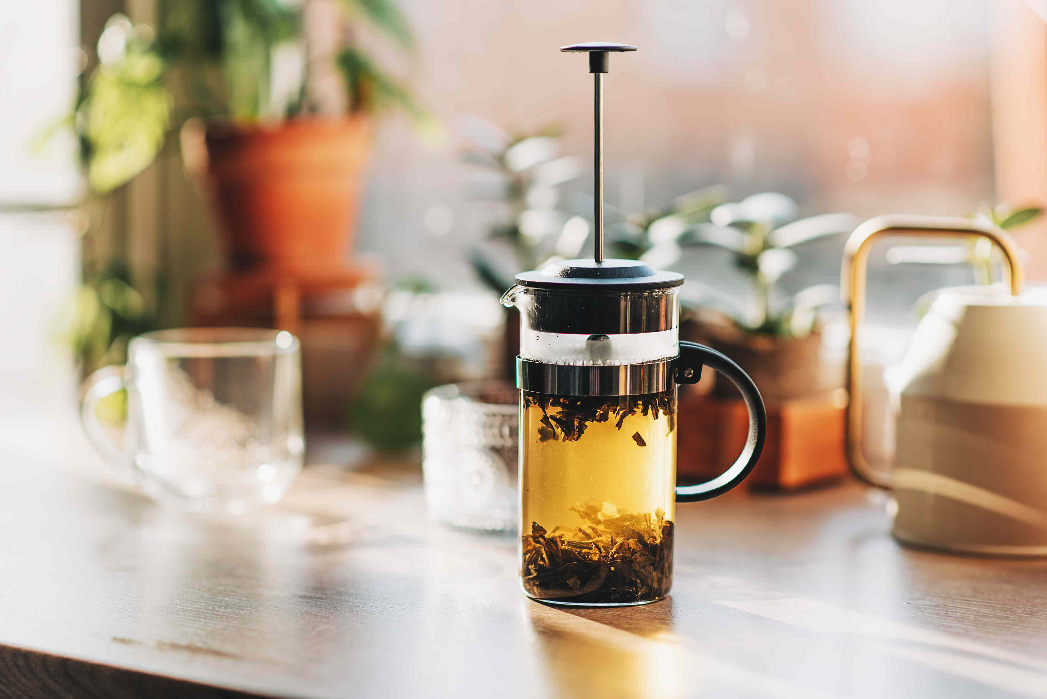 Here’s what happens when you drink green tea every day, according to ...