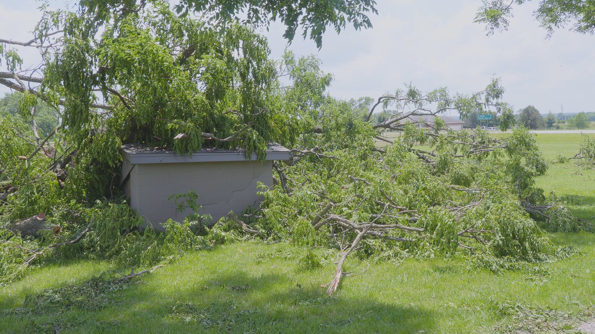 Strong winds topple trees, down power lines in Lawrence, Barry County, Mo.