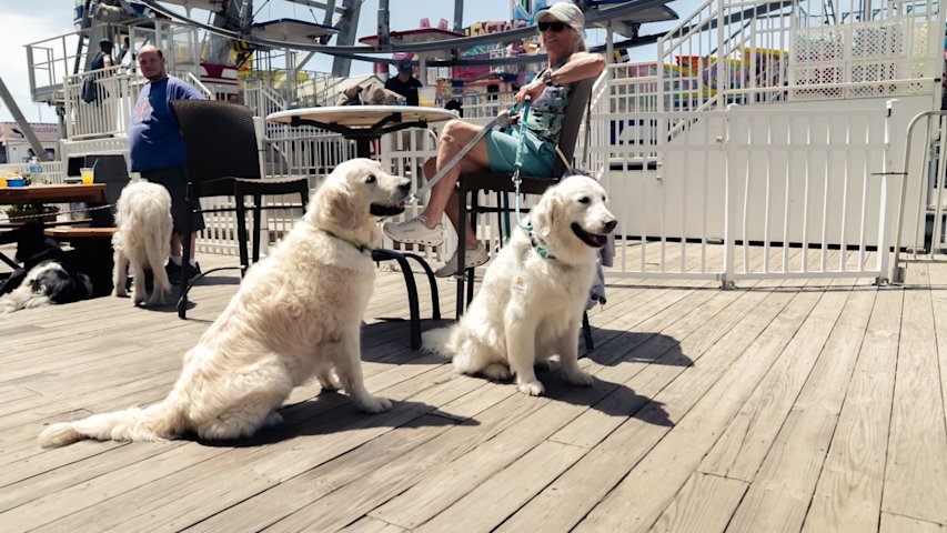 Locals, business owners in Seaside Heights hoping for strong June after ...