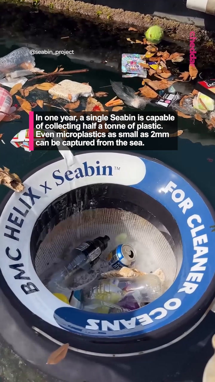 Taking out trash with ocean tides? That’s Mother Nature doing work