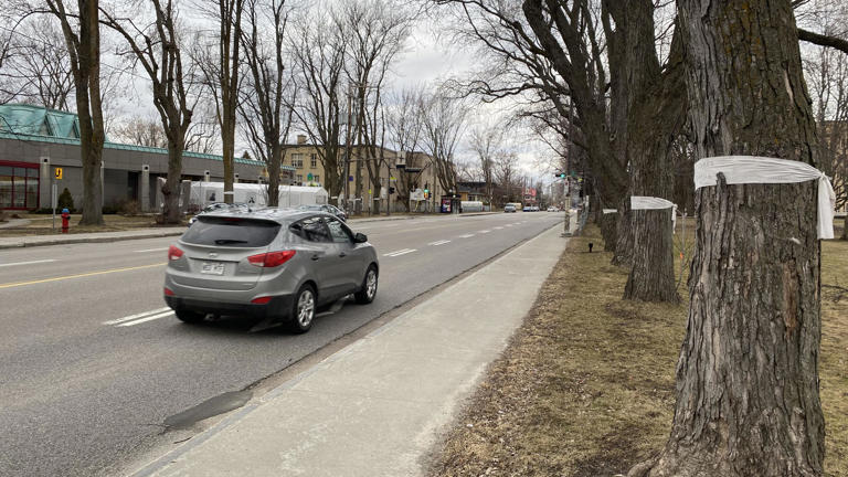 Des travaux lourds sur René-Lévesque entre l’université et Holland en ...