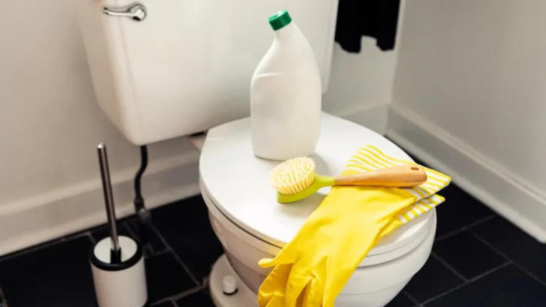 Cleaning hack: This simple trick with ice cubes will make your toilet ...