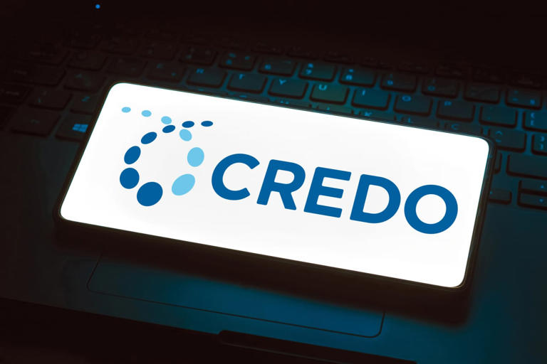 Credo stock falls. Why 157% revenue growth isn’t enough in the AI era.