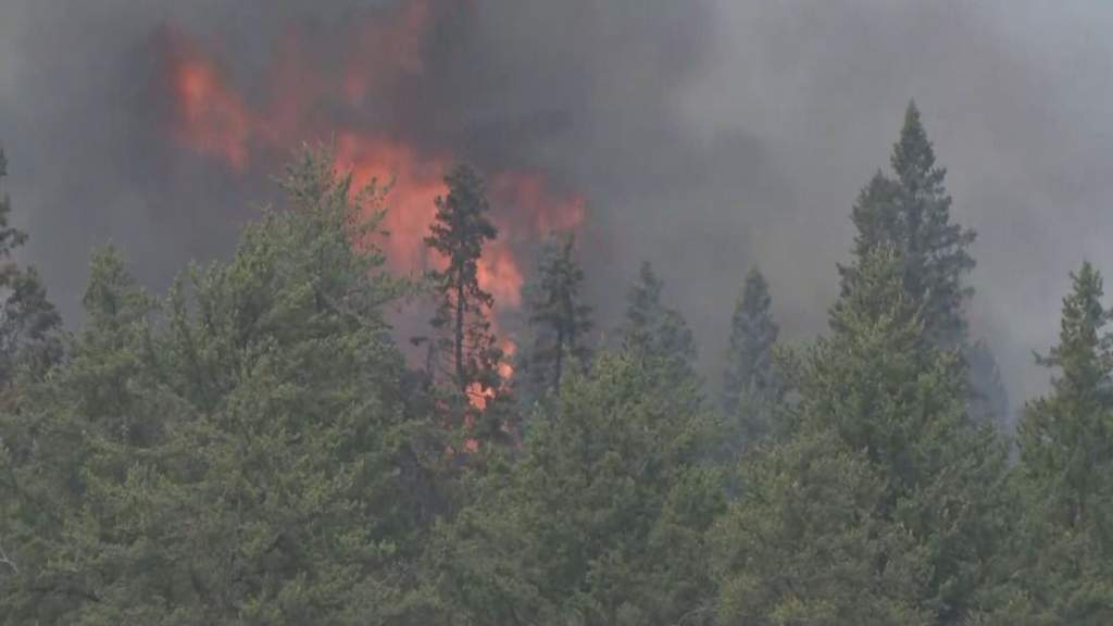 Wildfire fighting continues in Saskatchewan as blaze near Prince Albert ...