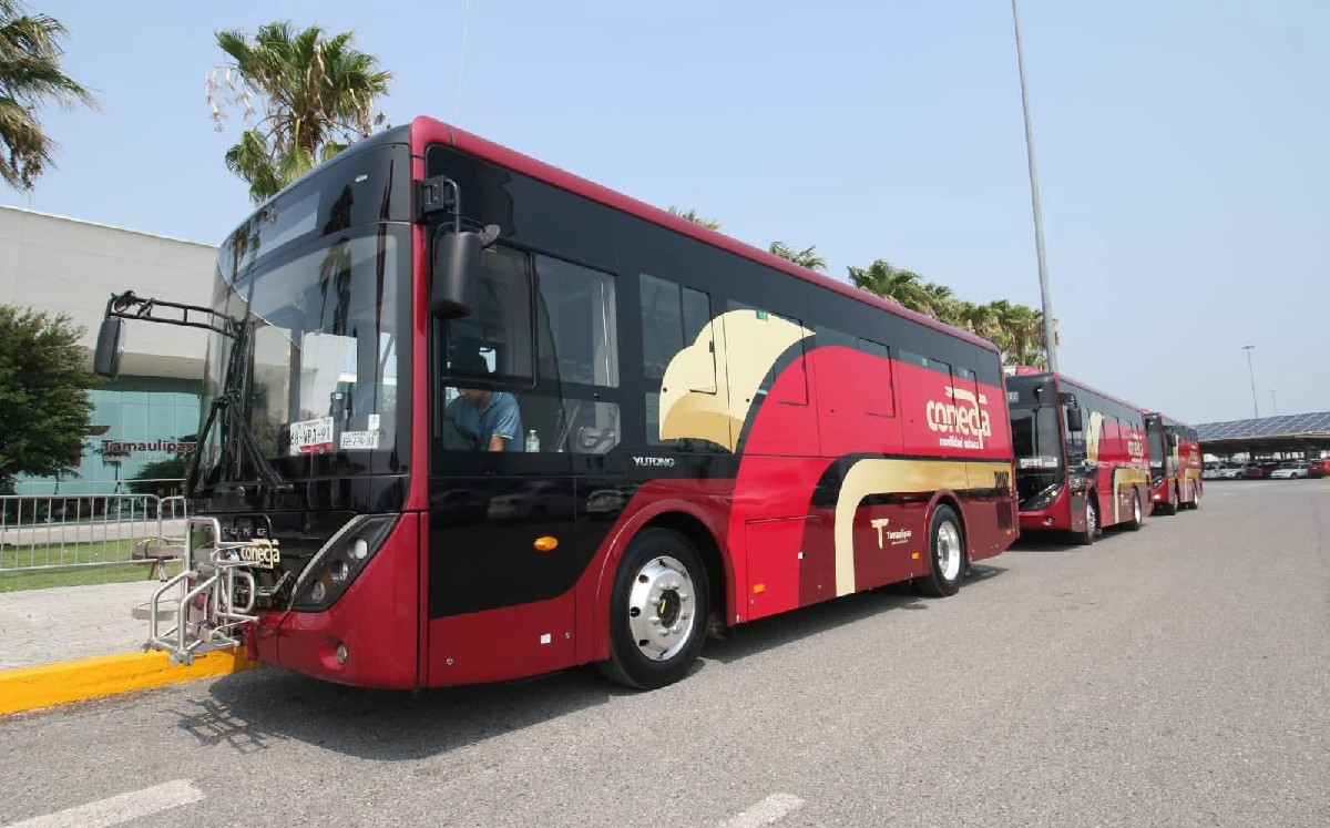 ¿Se acaba el viaje gratis? Transporte Conecta alista cobro en Ciudad ...