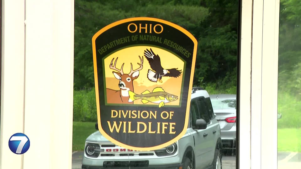Man hospitalized after being bitten by snake in Greene County