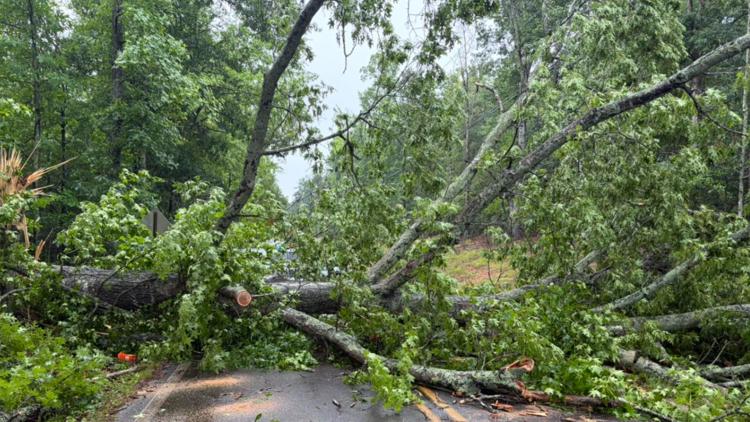 Trees down, roughly 2,000 without power in Troup County after strong ...