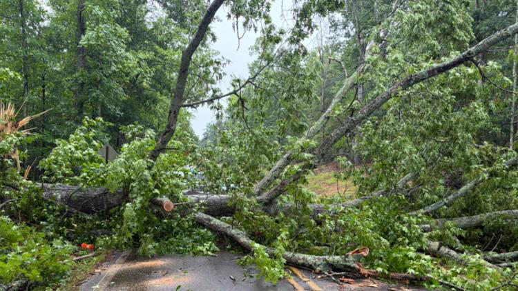 Trees down, roughly 2,000 without power in Troup County after strong ...