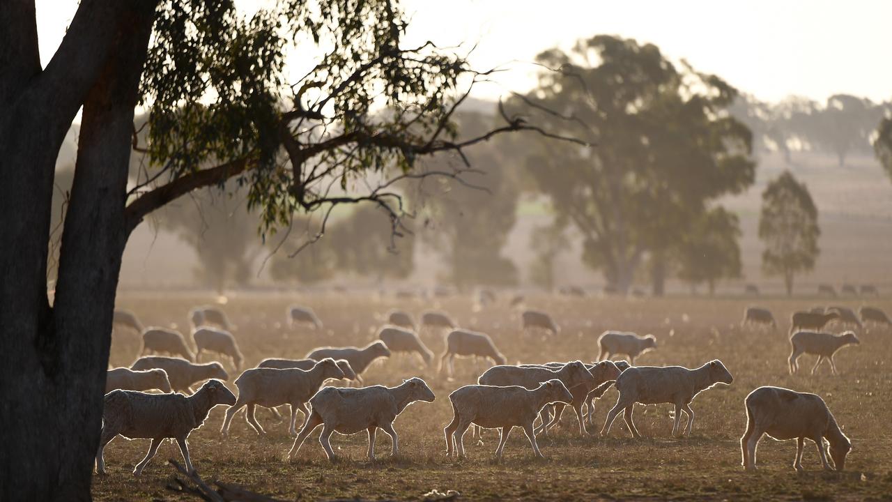 Watchdog flooded with complaints as dry spell persists
