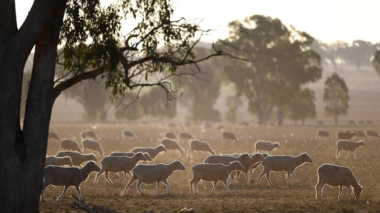 Watchdog flooded with complaints as dry spell persists